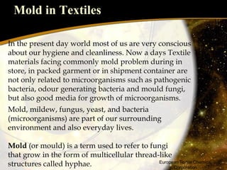 Anti Mold Finishing | PDF