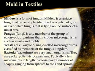 Anti Mold Finishing | PDF