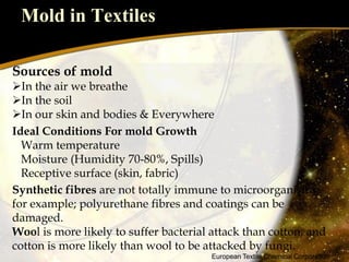 Anti Mold Finishing | PDF