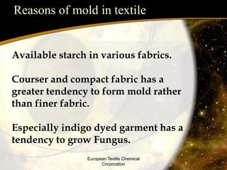 Anti Mold Finishing | PDF