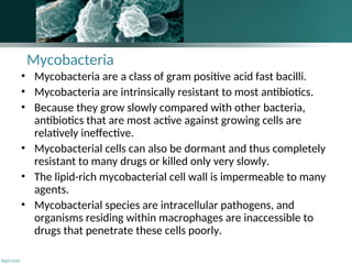 antimycobacterial-drugs-medicinal chemistry | PPT