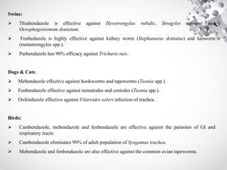 ANTINEMATODAL bbbbbbbbbbhhjhhhhDRUGS.ppt