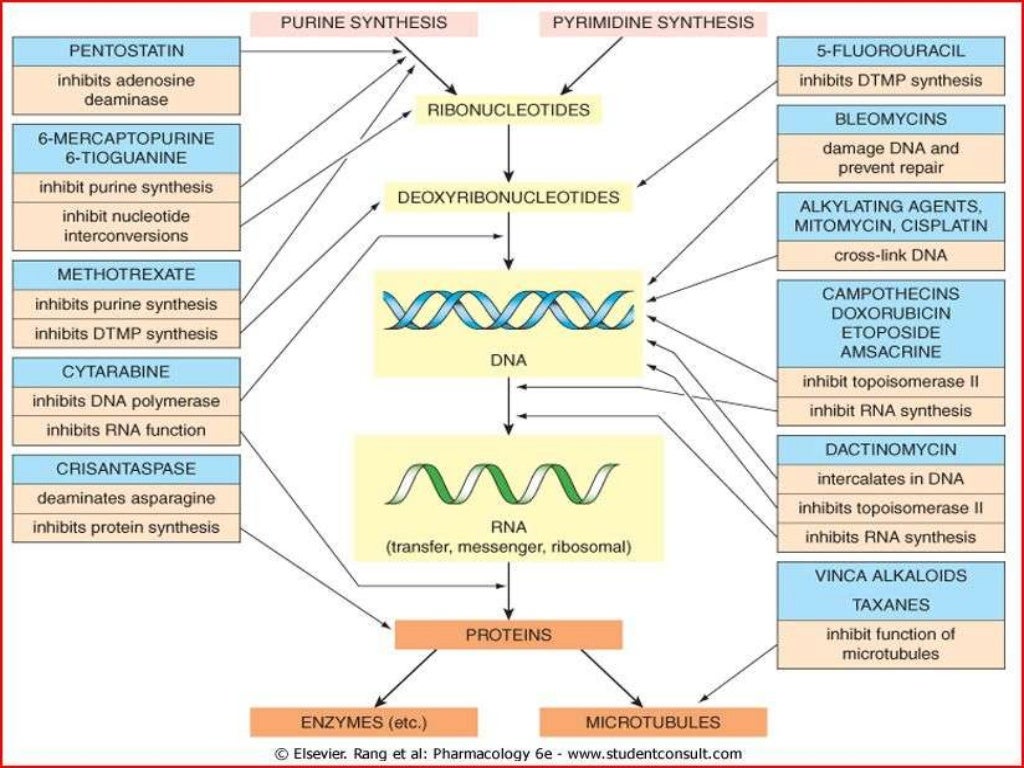 Antineoplastic agents