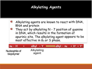 Anti neoplastic agents | PPTX