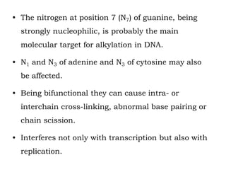 antineoplasticagents.pptx | Cancer | Diseases and Conditions