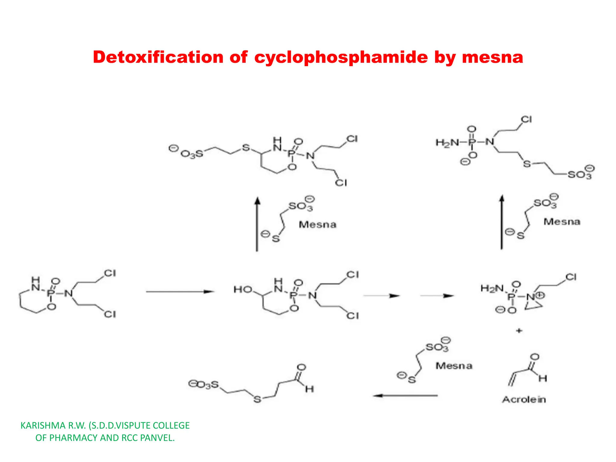 Antineoplastic agents- Alkylating agents .pptx