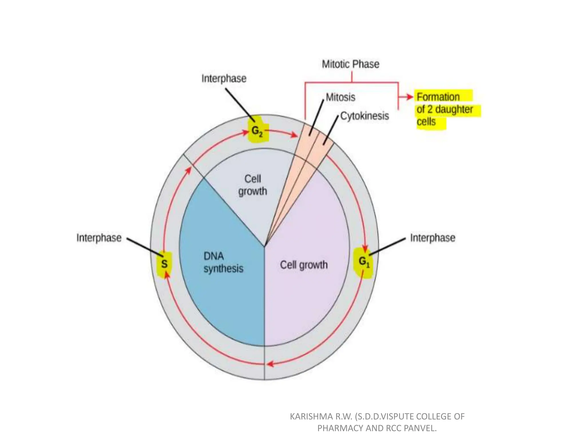 Antineoplastic agents- Alkylating agents .pptx