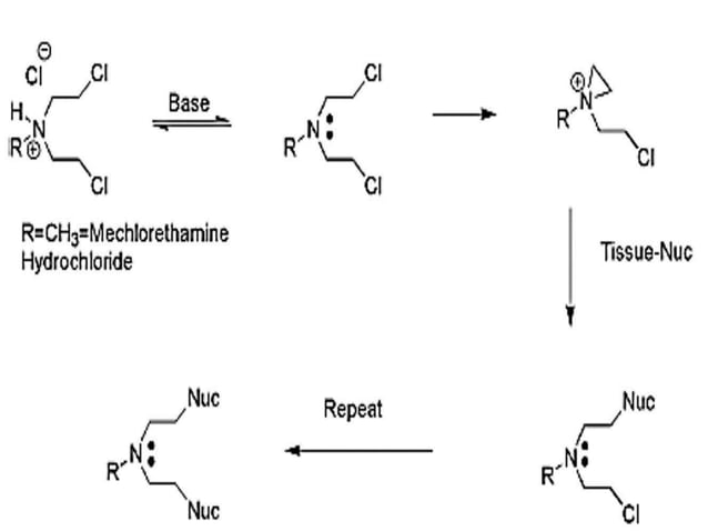 Antineoplastic agents- Alkylating agents .pptx