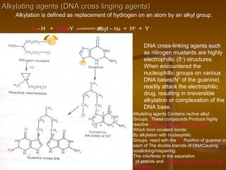 Antineoplastic agents(ravisankar) | PPT