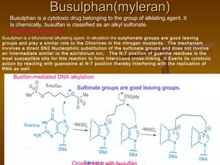 Busulfan Mechanism Of Action