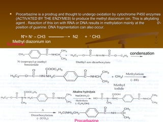 Procarbazine Mechanism Of Action