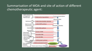 Antineoplastic drug- M.pharma- Pharmaceutical Chemistry- by Sakshi ...