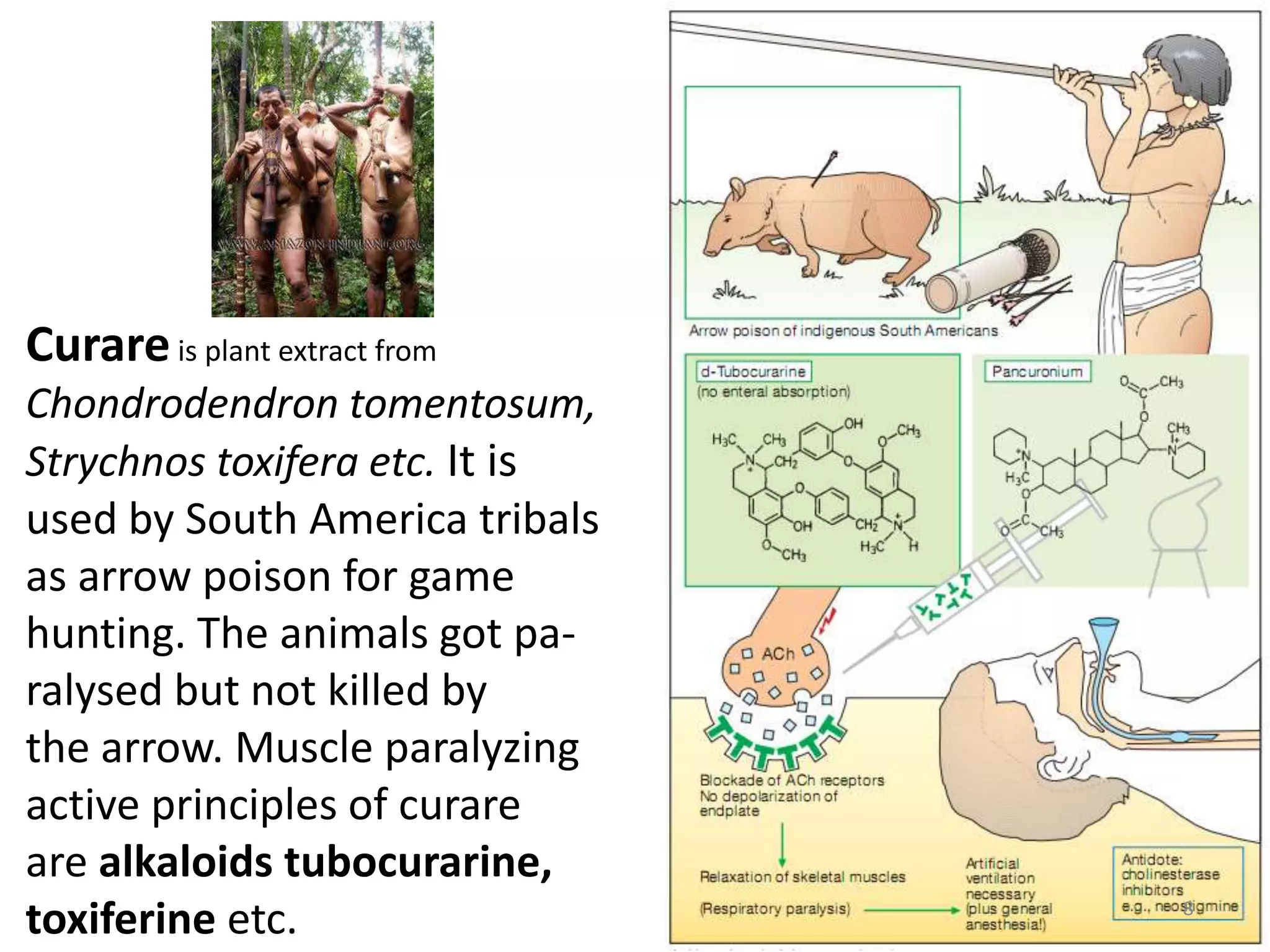Antinicotinics | PPTX