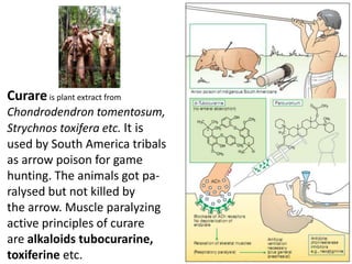 Antinicotinics | PPTX