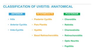 Uveitis: Clinical Features & Investigations | PDF