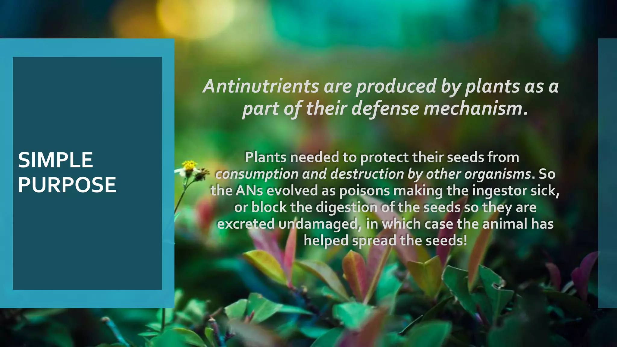 Antinutrients | PPTX