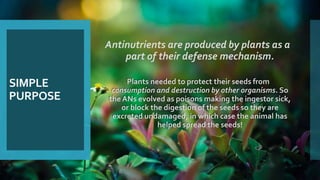 Antinutrients | PPTX