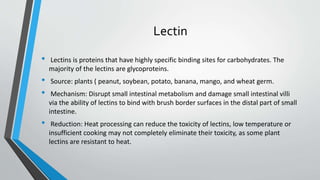 Antinutritional and allergens | PPTX