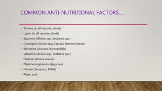 Anti nutritional factors | PPTX