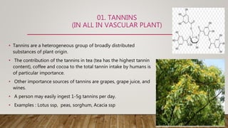 Anti nutritional factors | PPTX