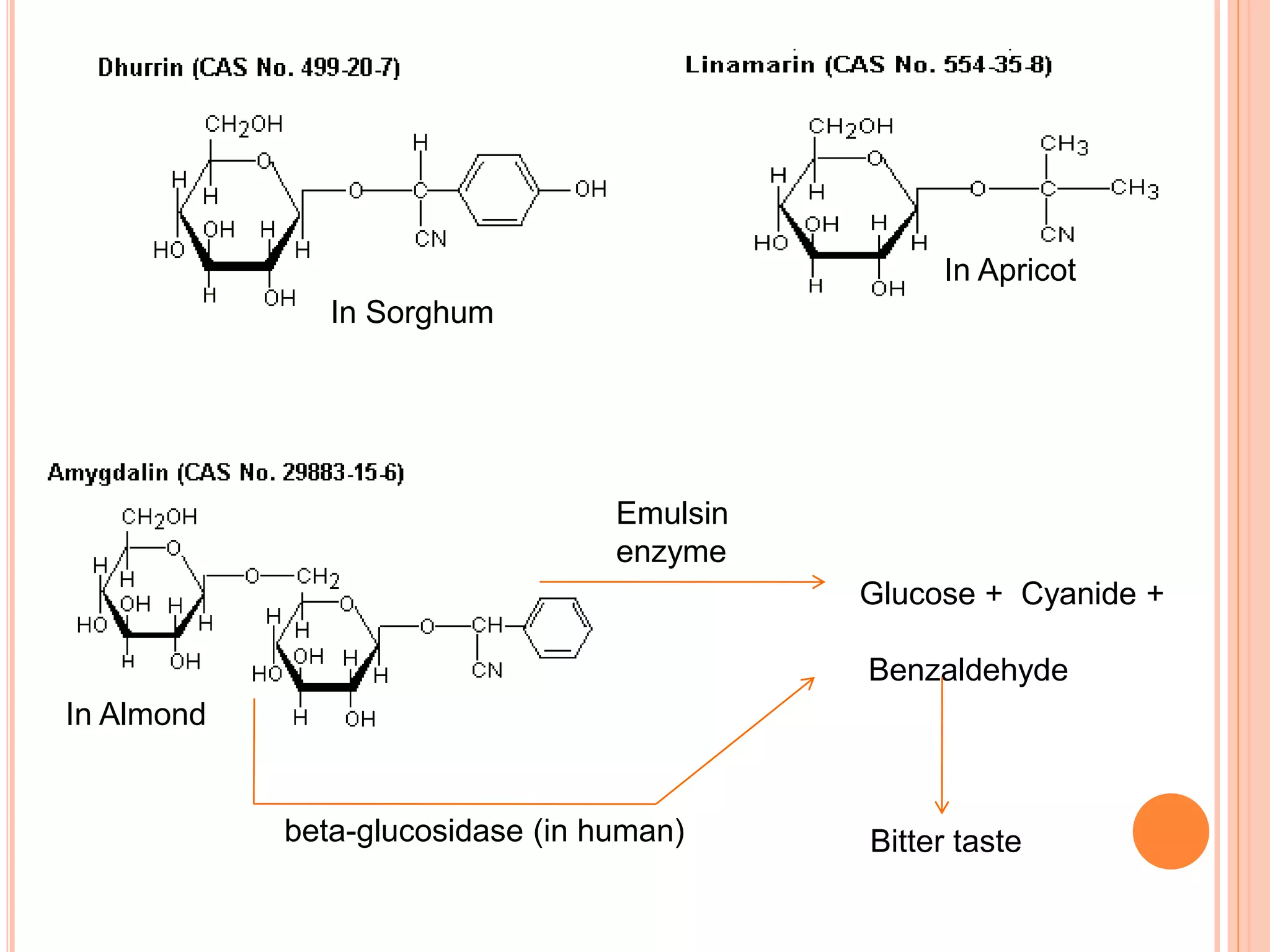 antinutritional factors.ppt