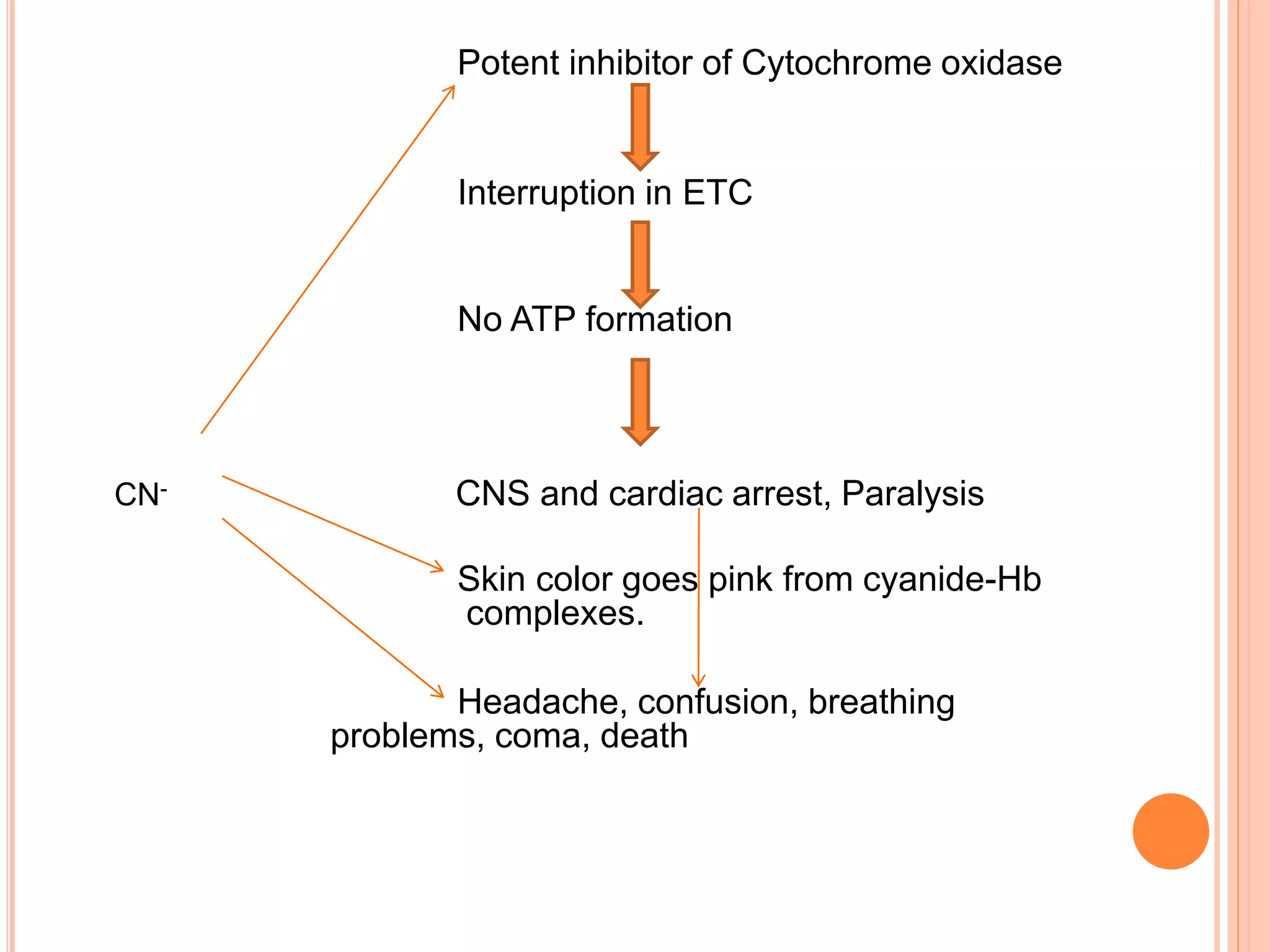 antinutritional factors.ppt