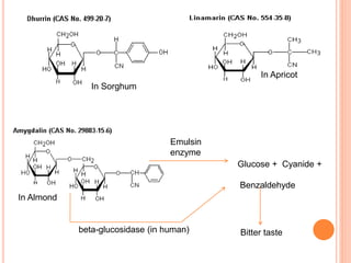 antinutritional factors.ppt