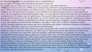 ANTIOBIOTICS AND THE HEALTH OF THE HUMANS | PPT