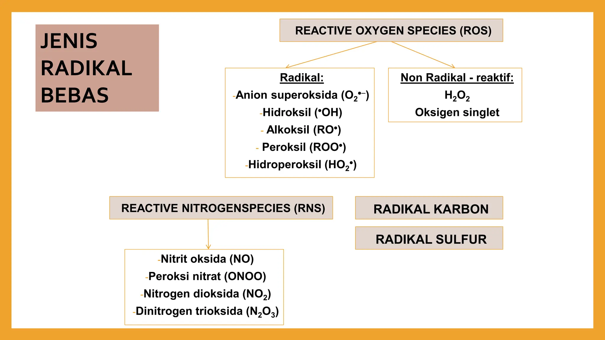 PPT Mengenai Zat Antioksidan yang bermanfaat bagi tubuh | PPTX