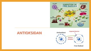 PPT Mengenai Zat Antioksidan yang bermanfaat bagi tubuh | PPTX