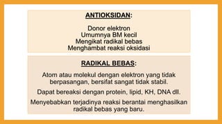 PPT Mengenai Zat Antioksidan yang bermanfaat bagi tubuh | PPTX