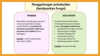 PPT Mengenai Zat Antioksidan yang bermanfaat bagi tubuh | PPTX