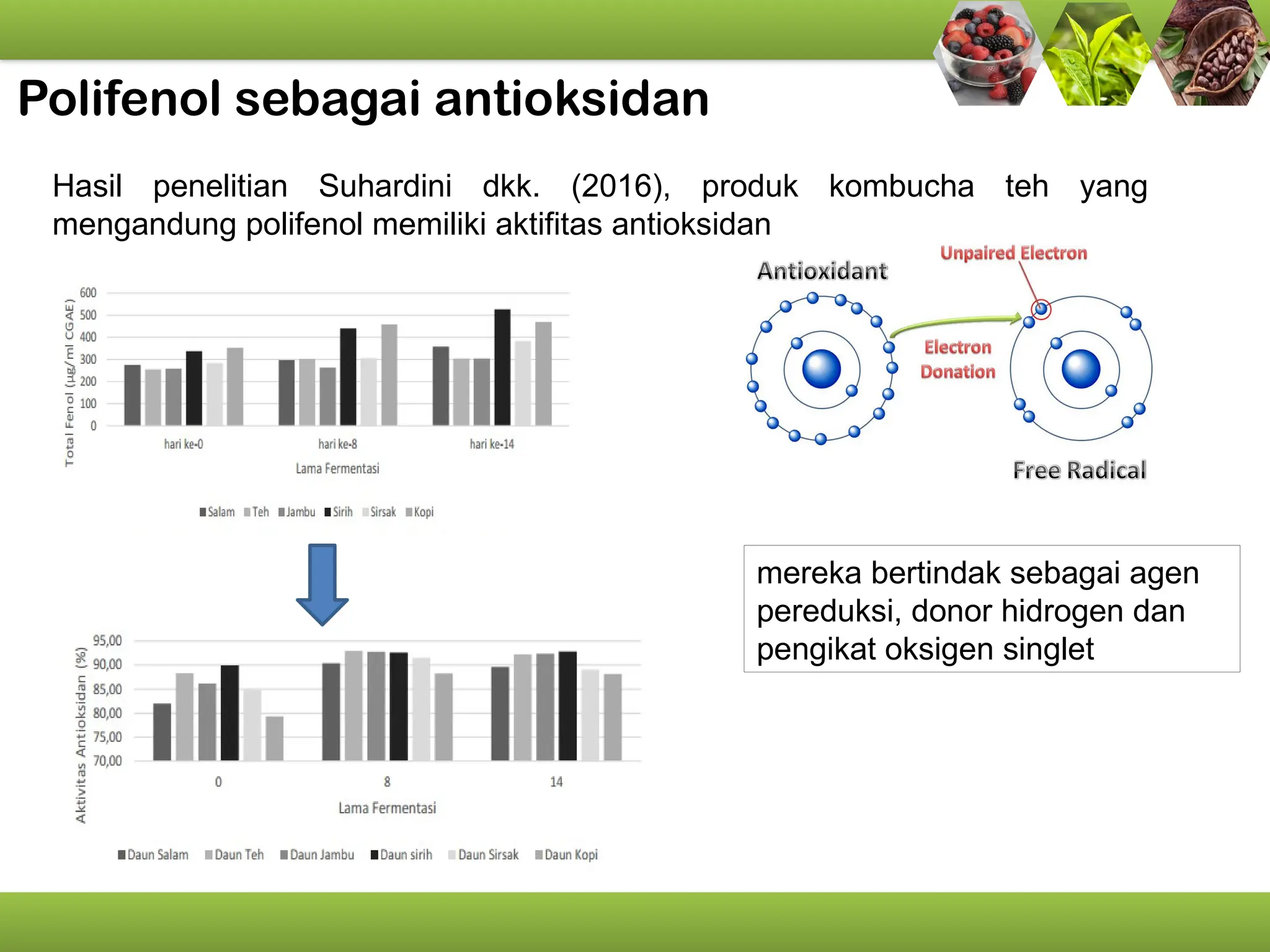Jenis-jenis Antioksidan pada bahan pangan | PPTX
