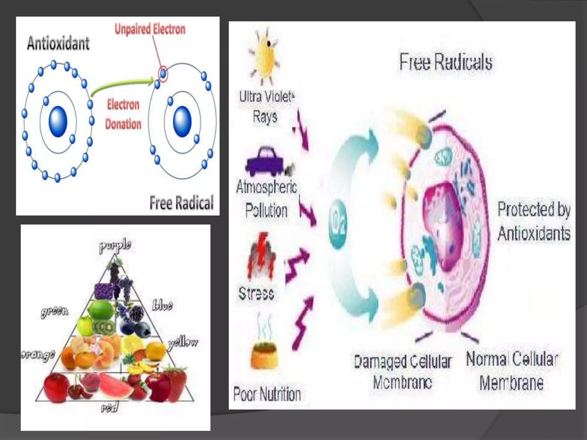 Antioksidan 1 (versi 2) | PPT