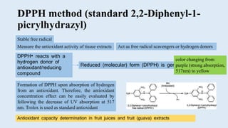 Antioxidant analysis | PPTX