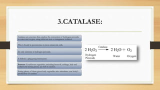 antioxidant enzymes. biochemistry botany biology | PPTX