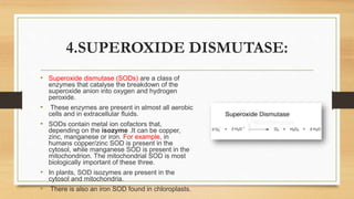 antioxidant enzymes. biochemistry botany biology | PPTX | Chemistry ...