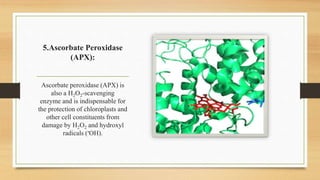 antioxidant enzymes. biochemistry botany biology | PPTX