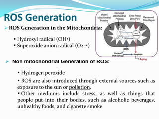 Antioxidants | PPTX | Chemistry | Science
