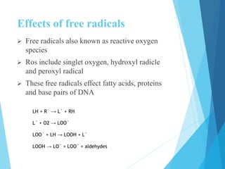 Antioxidants | PPT