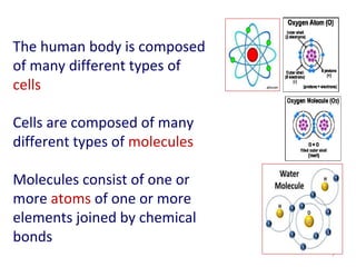 Antioxidants | PPTX