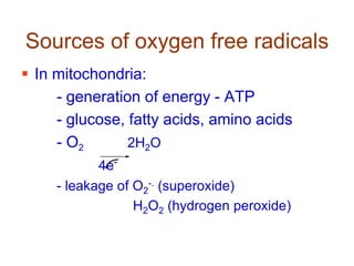 antioxidants.ppt