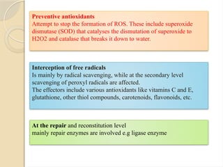ANTIOXIDANTS by Dr Santosh Kumar MD biochemistry | PPTX