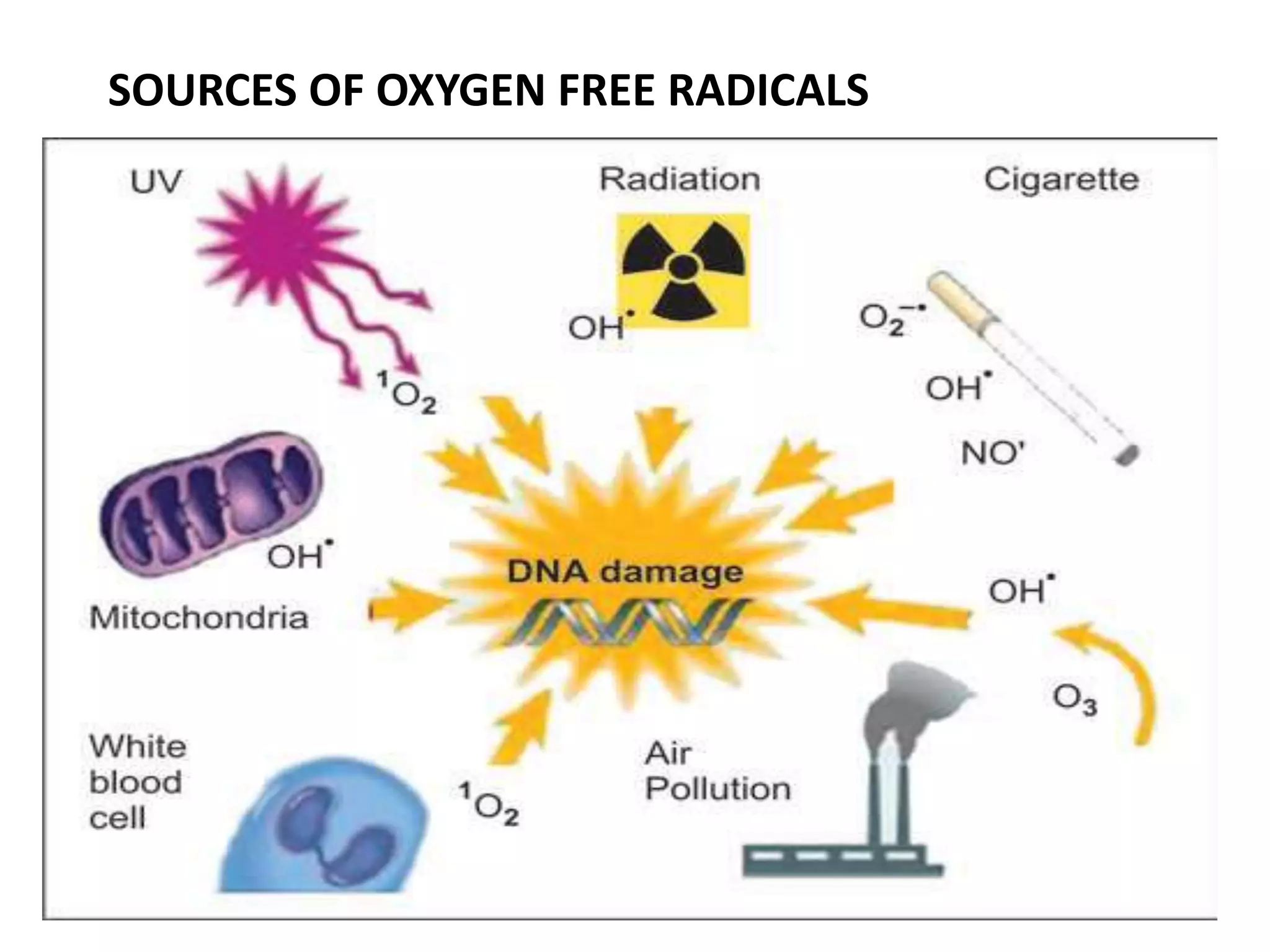 Free radicals & Antioxidants | PPTX
