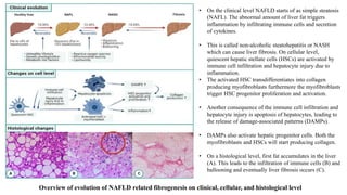ANTIOXIDANTS FOR HEPATIC CIRRHOSIS.pptx