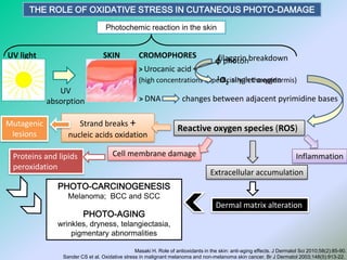 Antioxidants | PPTX
