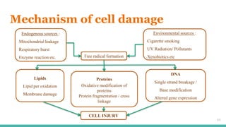 ANTIOXIDANTS ppt.pptx
