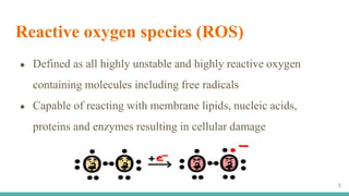 ANTIOXIDANTS ppt.pptx