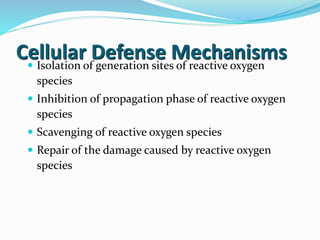 Antioxidants in Food | PPTX