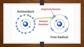 Antioxidents | PPTX